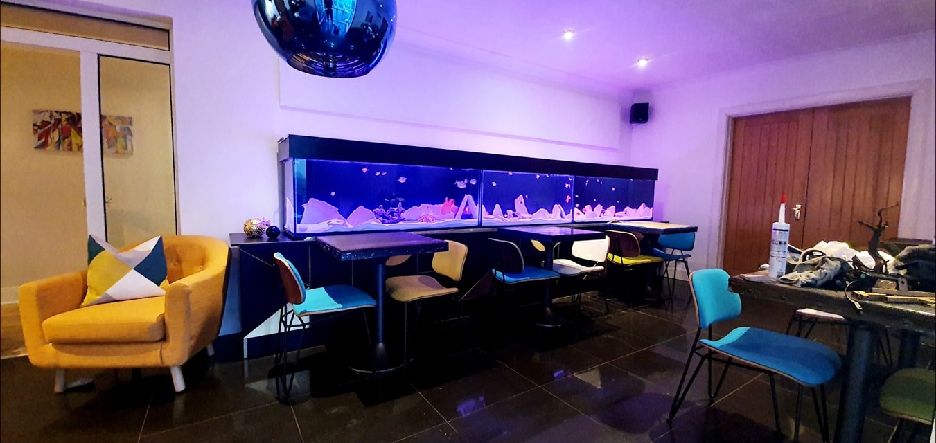 The Grumpy Schnauzer B&B