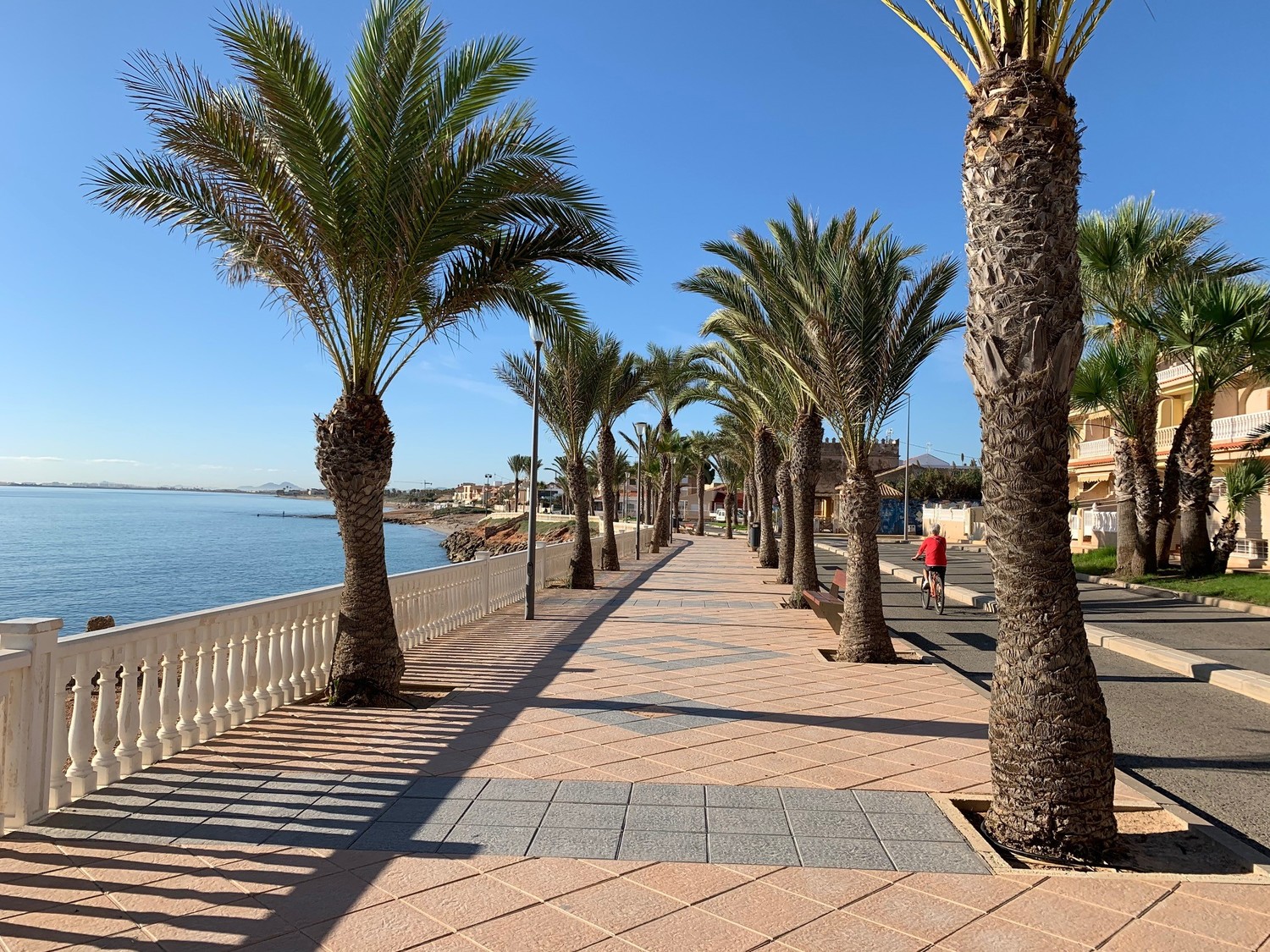 PALMERA BLUE HOLIDAYS
