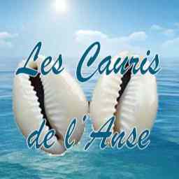 LES CAURIS DE L'ANSE